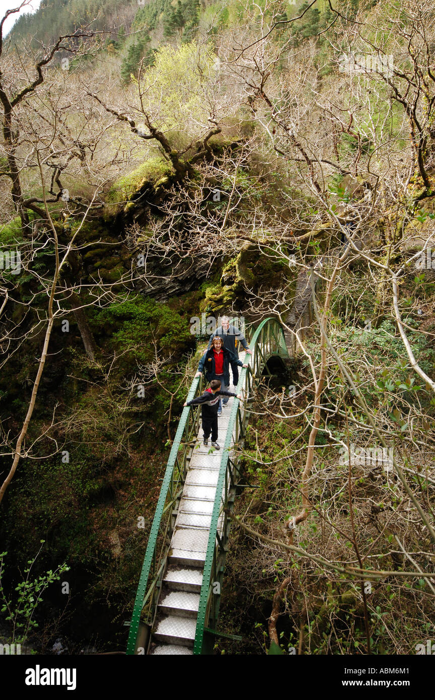 Rheidol Valley Steps Descending to Waterfalls Devil s Bridge Ceredigion ...