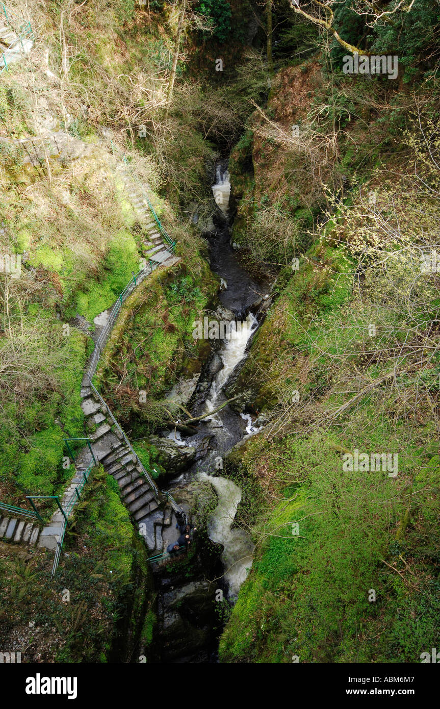 Rheidol Valley Steps Descending to Waterfalls Devil s Bridge Ceredigion ...