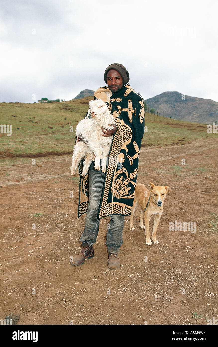Cattle herd man carrying a lamb Lesotho Africa Stock Photo - Alamy