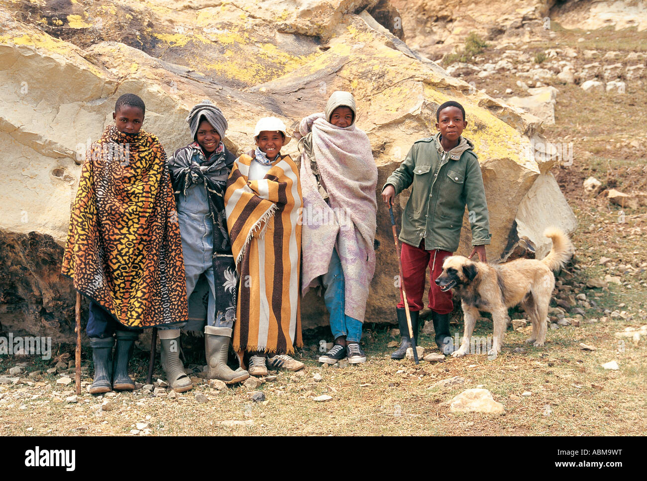 Five Cattle herd boys with their dog Highlands Lesotho Africa Stock ...