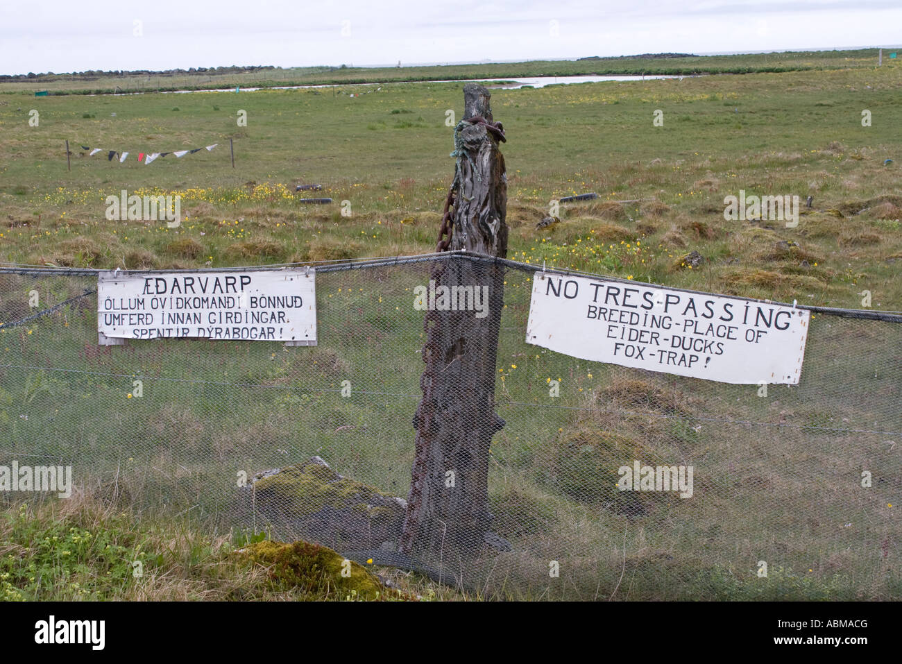Iceland Signs warning Eider Breeding area and Fox traps English ...