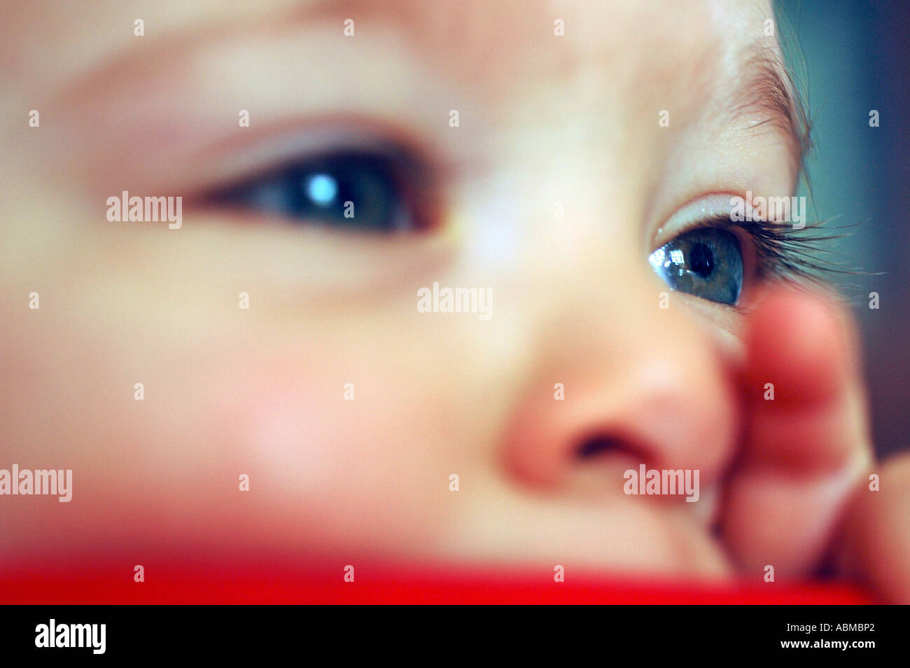 Baby eye lash hi-res stock photography and images - Alamy