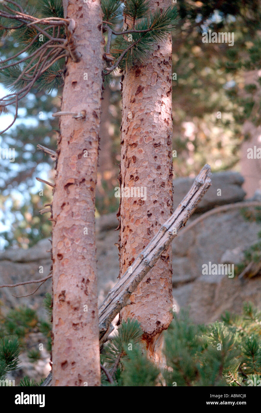 Afternoon delight hi-res stock photography and images - Alamy