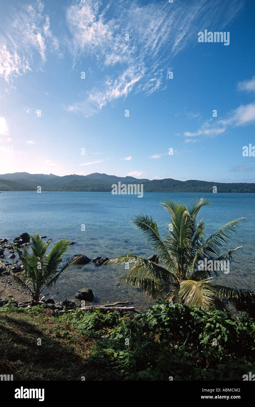 Palm trees rise near the ocean with an island coast in the background ...