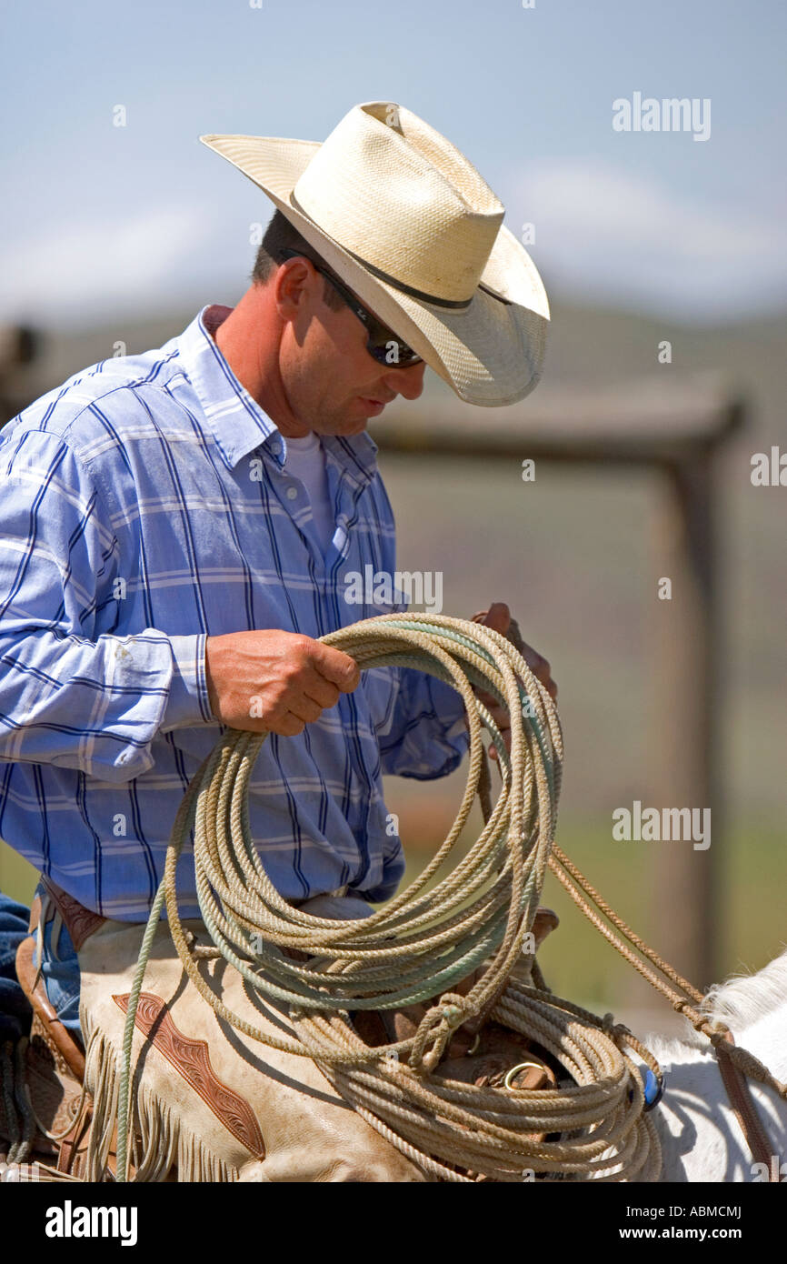 Cattle round up american west hi-res stock photography and images - Alamy
