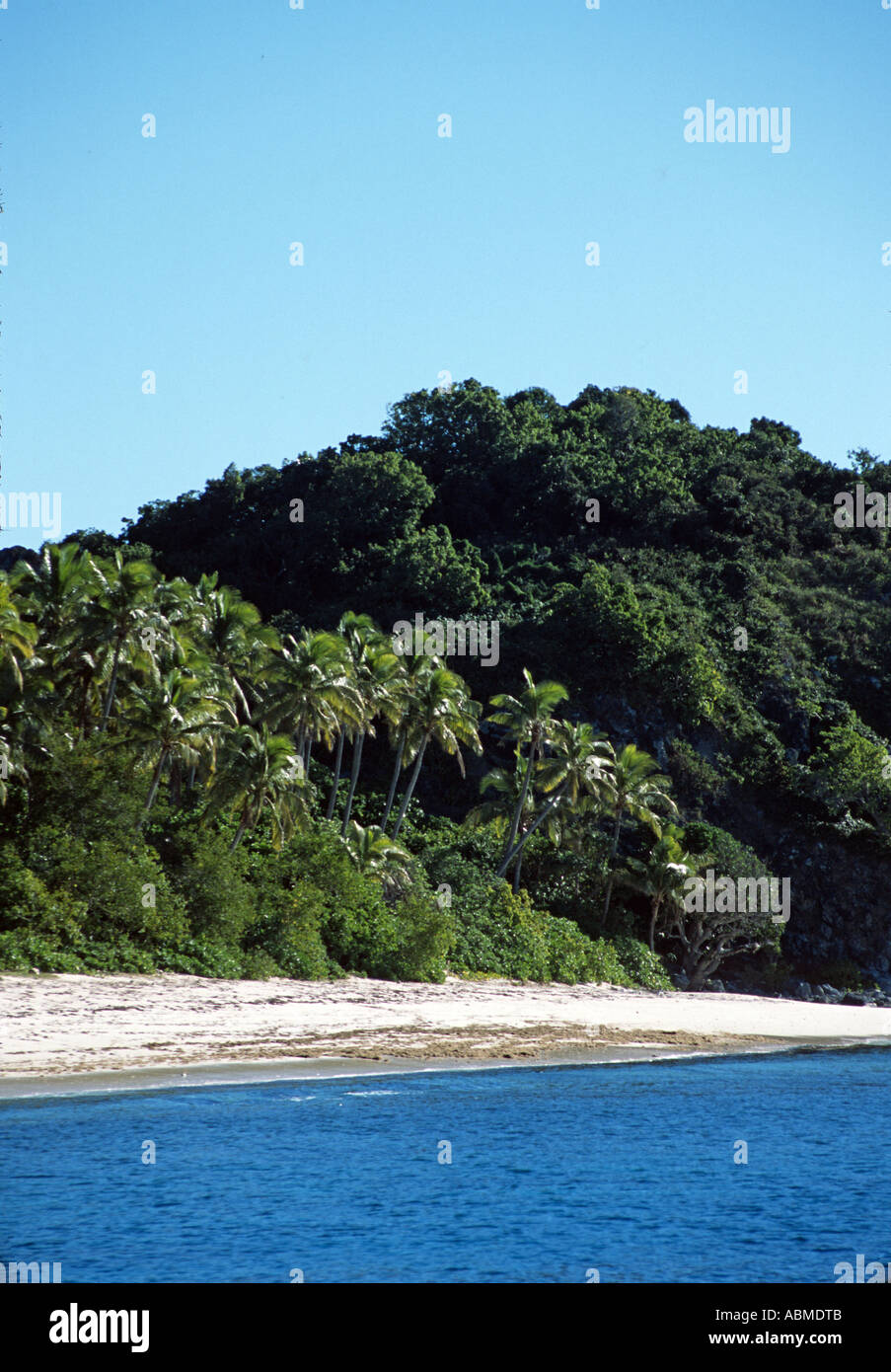 Island shoreline with palm trees blue water and sky and sandy beach ...