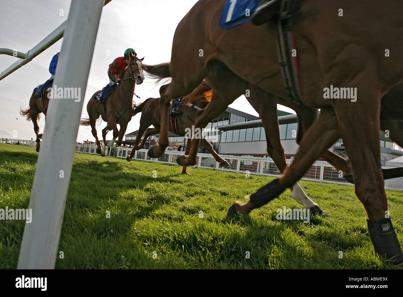 Exeter racecourse hi-res stock photography and images - Alamy