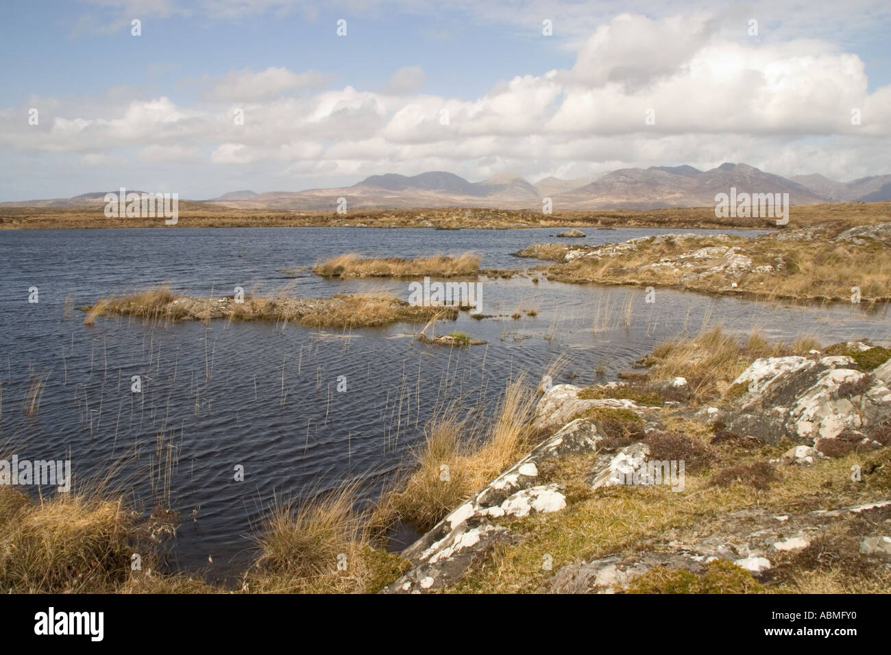 Boglands hi-res stock photography and images - Alamy