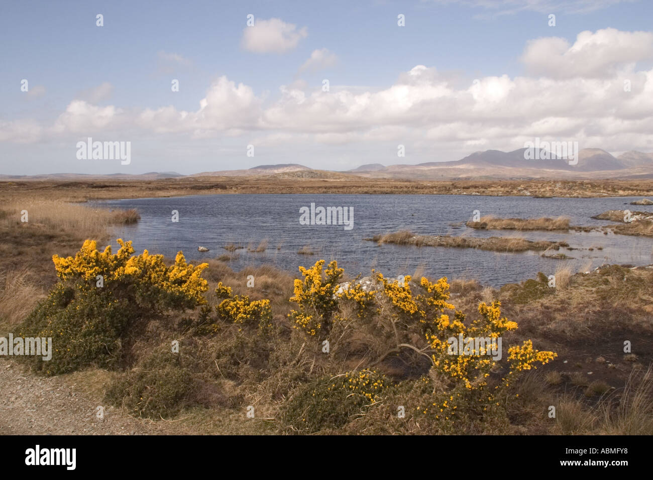 Roundstone bog connemara hi-res stock photography and images - Alamy