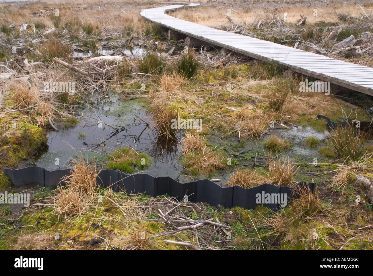 Bog restoration project Emlaghdauroe Twelve Bens Special Area of ...