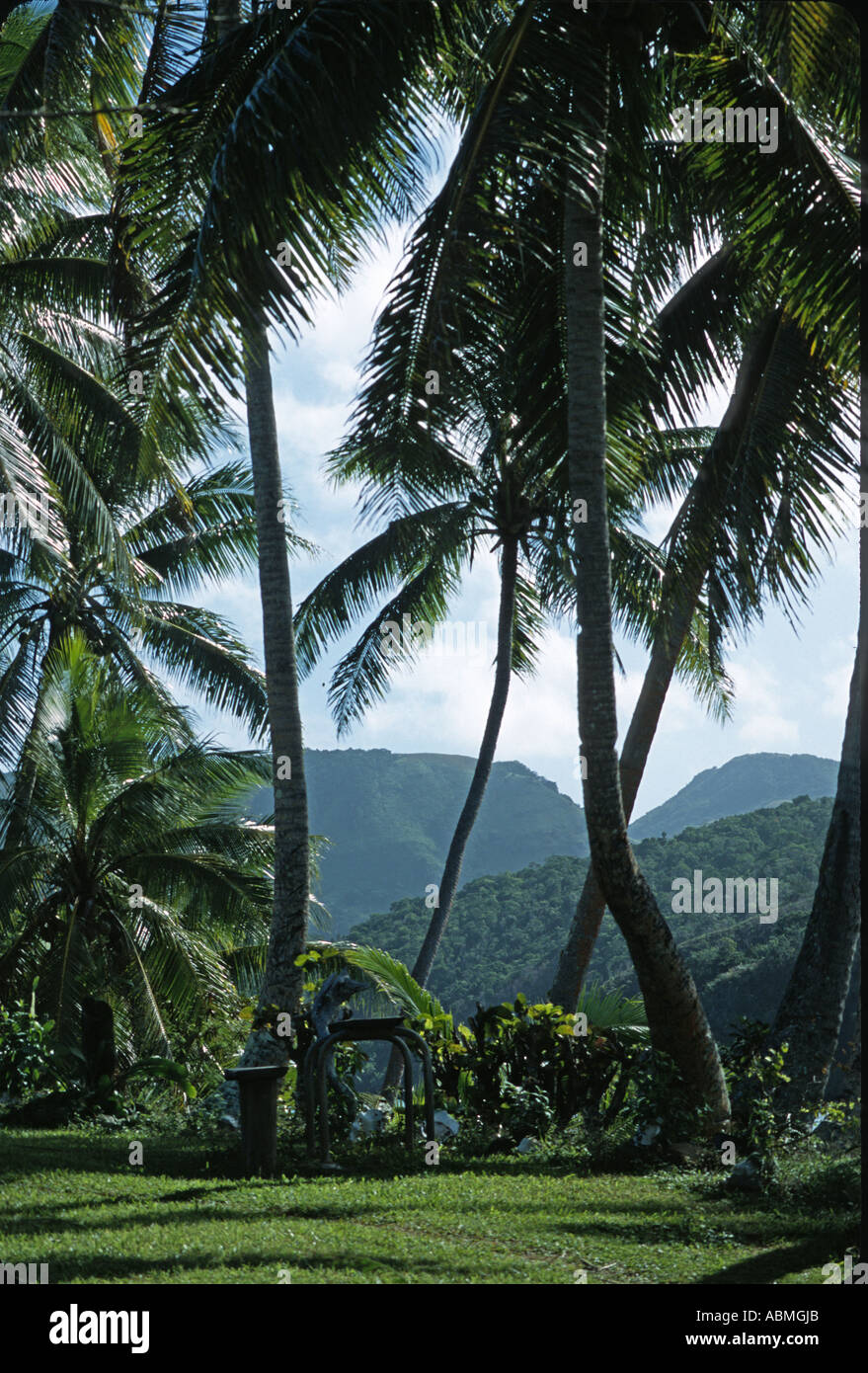 Tropical Garden coconut Grove Highland Hills and background Stock Photo ...