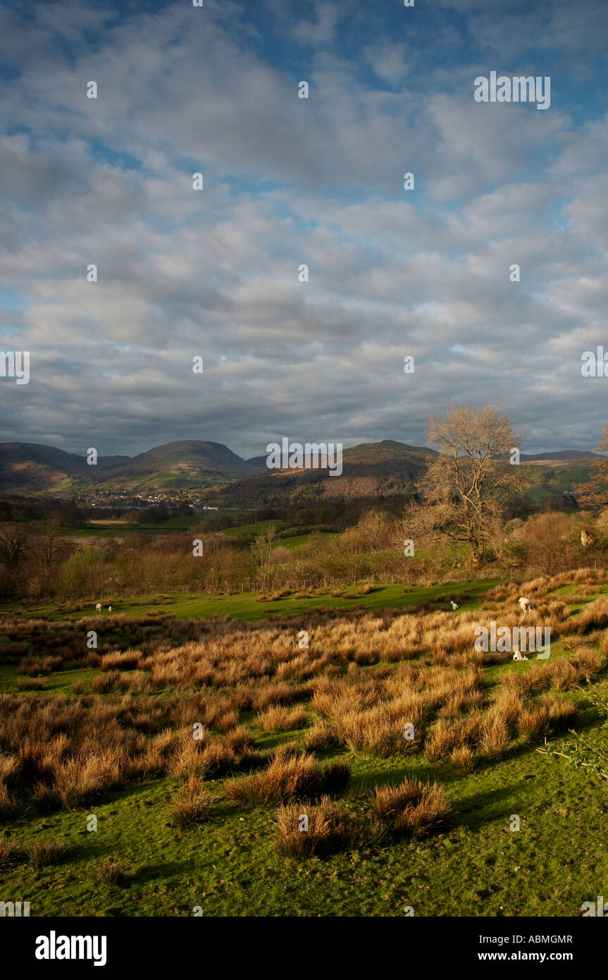 vertical portrait photo of the countryside near Hawkshead in the ...