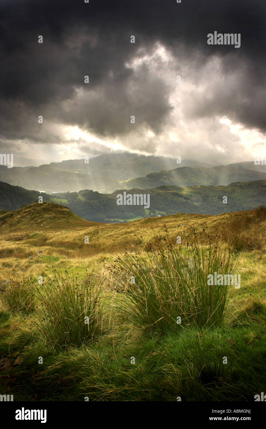 vertical portrait photo of rain storms and stormy weather over the ...