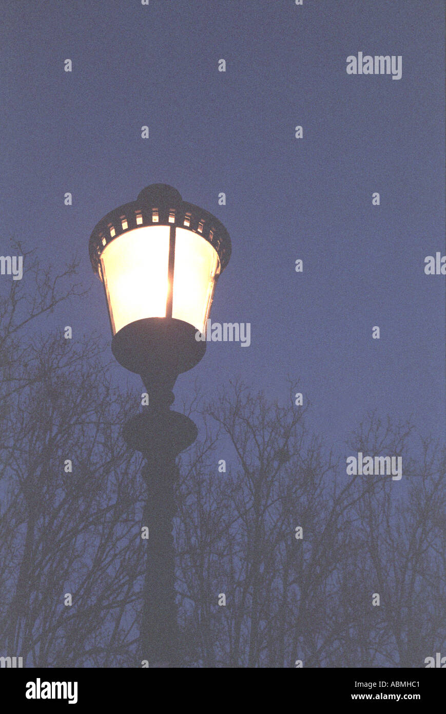 old fashioned lamp post lit at night with trees Stock Photo - Alamy