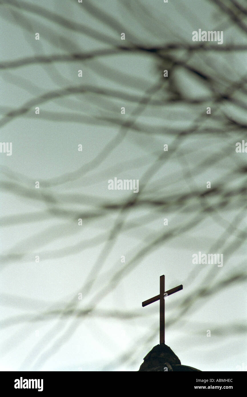 religious cross through branches Stock Photo - Alamy