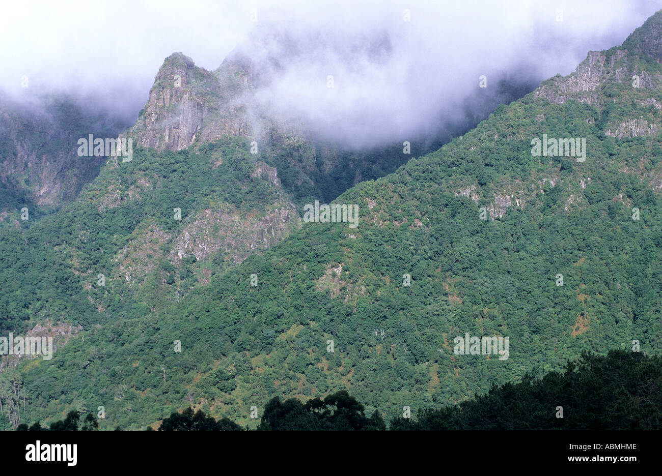 Mountain landscape of Madeira, Portugal Stock Photo - Alamy