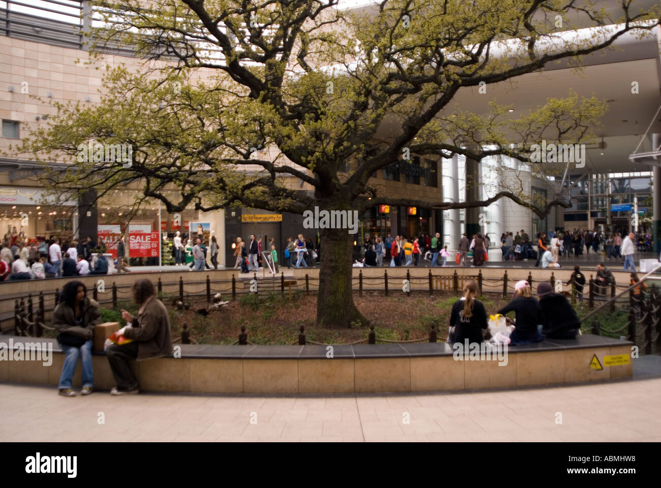 Oak tree in midsummer place hi-res stock photography and images - Alamy