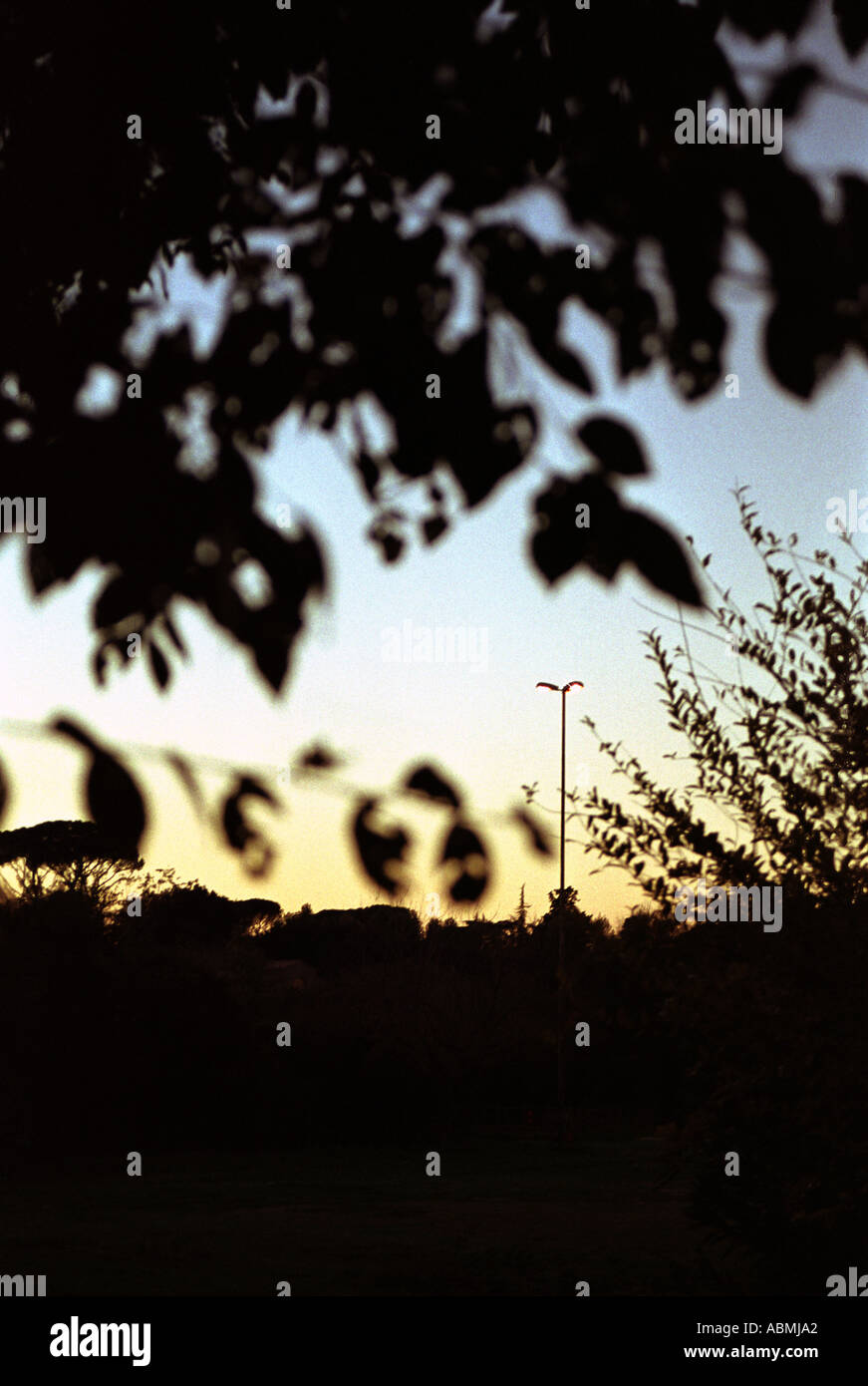 old fashioned lamp post lit at night with trees Stock Photo - Alamy