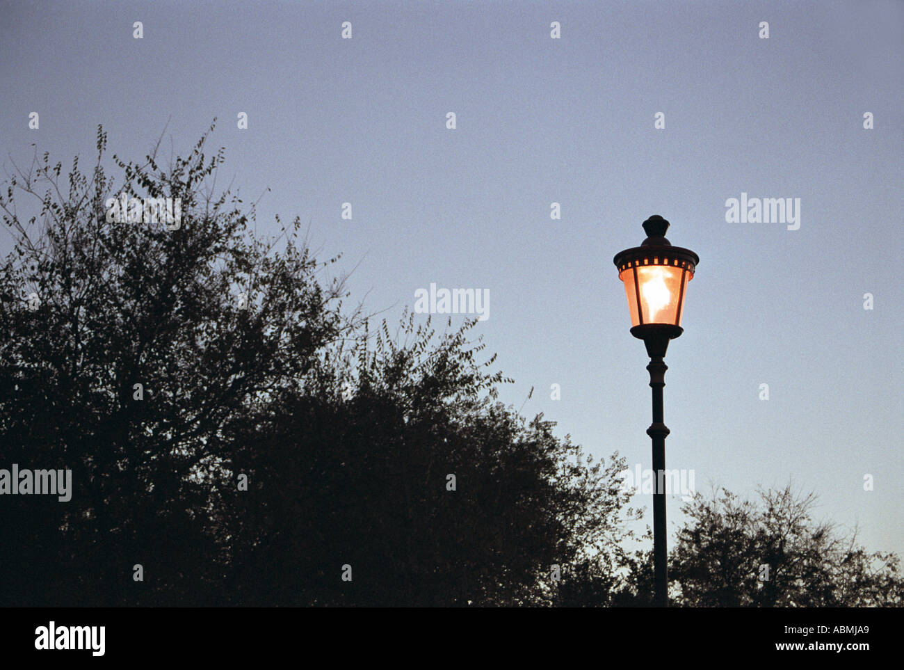 old fashioned lamp post lit at night with trees Stock Photo - Alamy