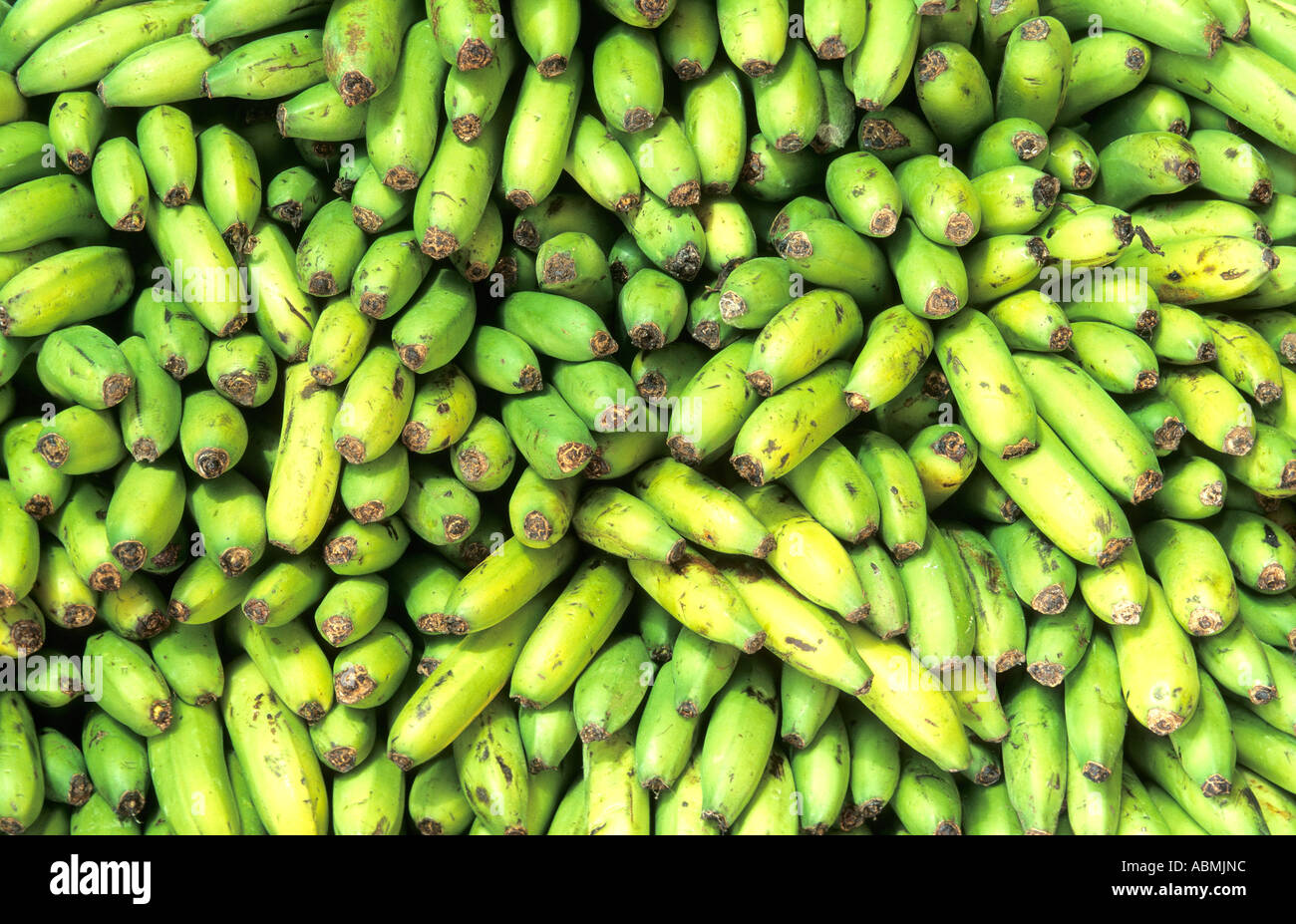 With bananas hi-res stock photography and images - Alamy