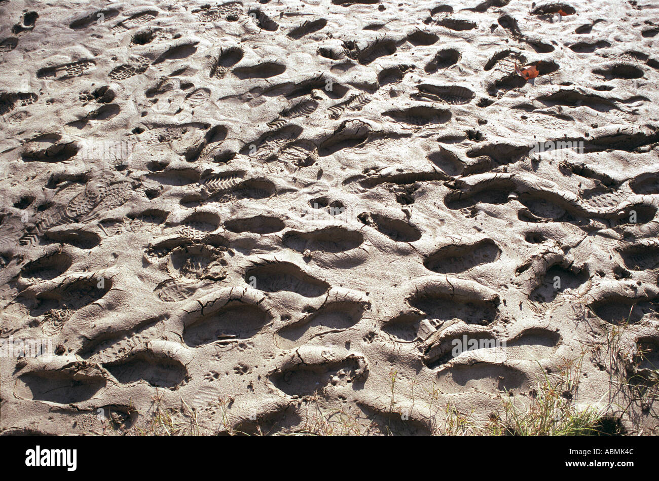 many footsteps in mud Stock Photo - Alamy