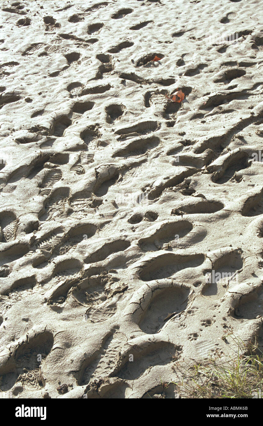 many footsteps in mud Stock Photo - Alamy