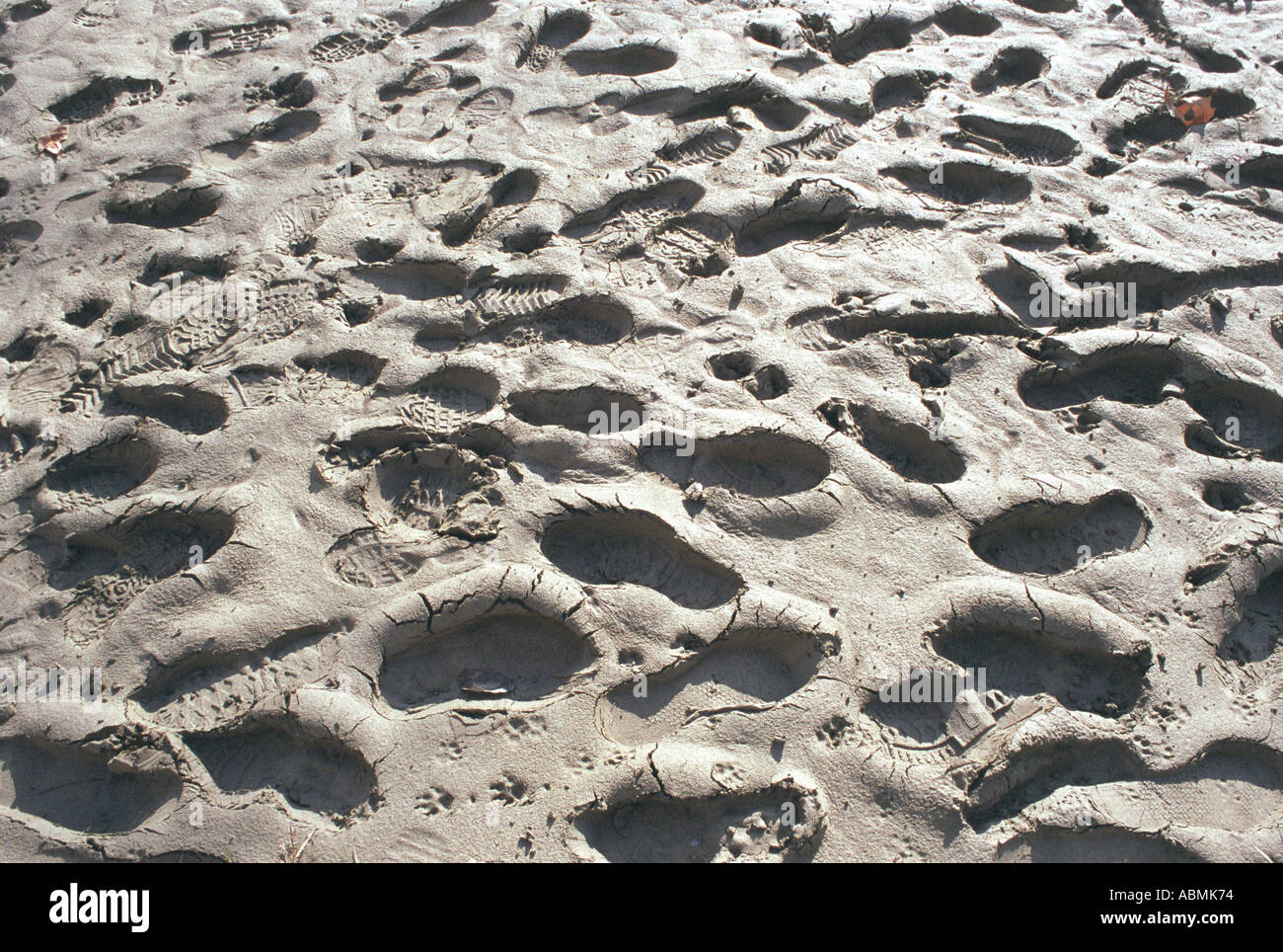 Man sinking in quicksand hi-res stock photography and images - Alamy