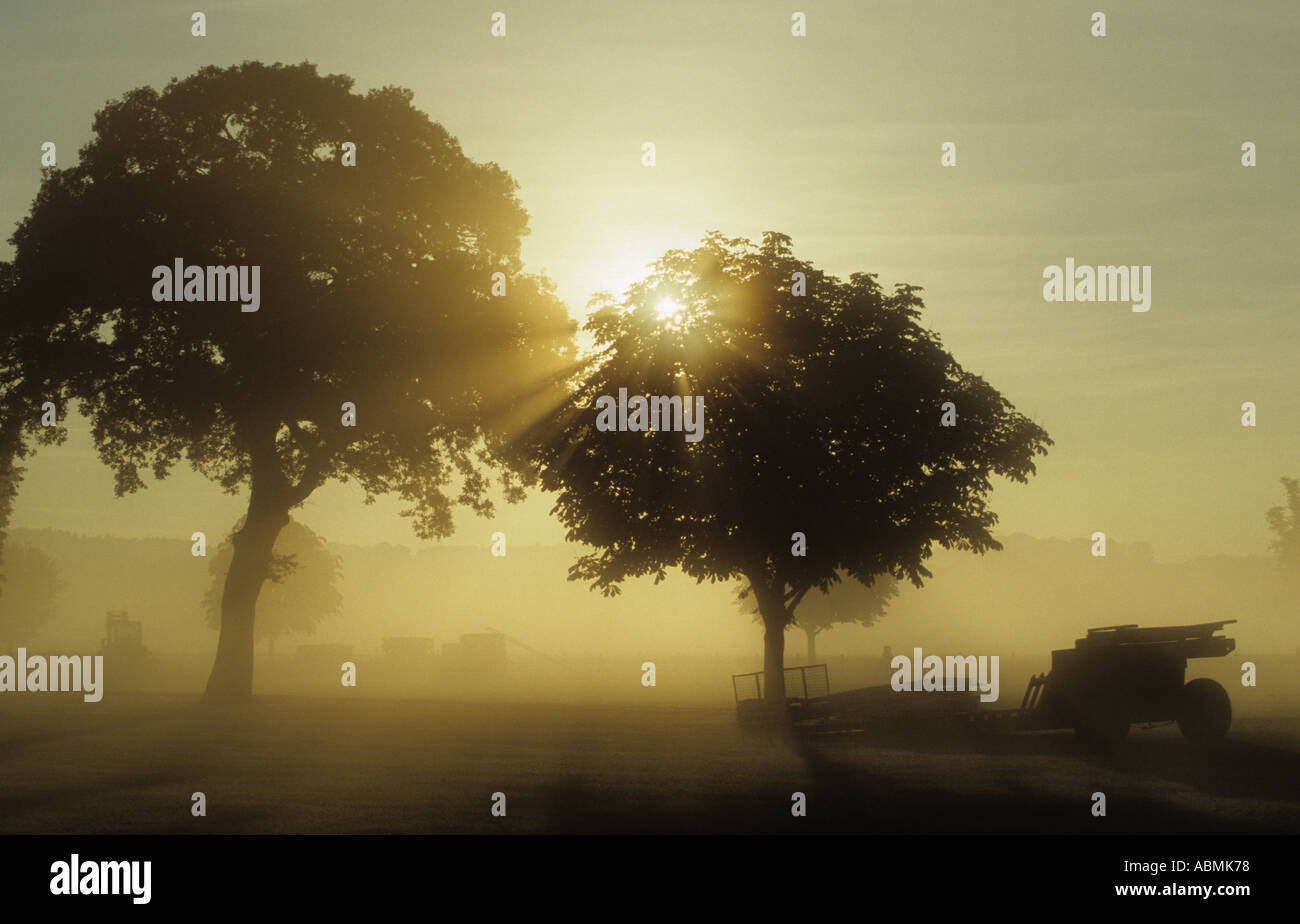A misty sunrise behind trees Stock Photo - Alamy