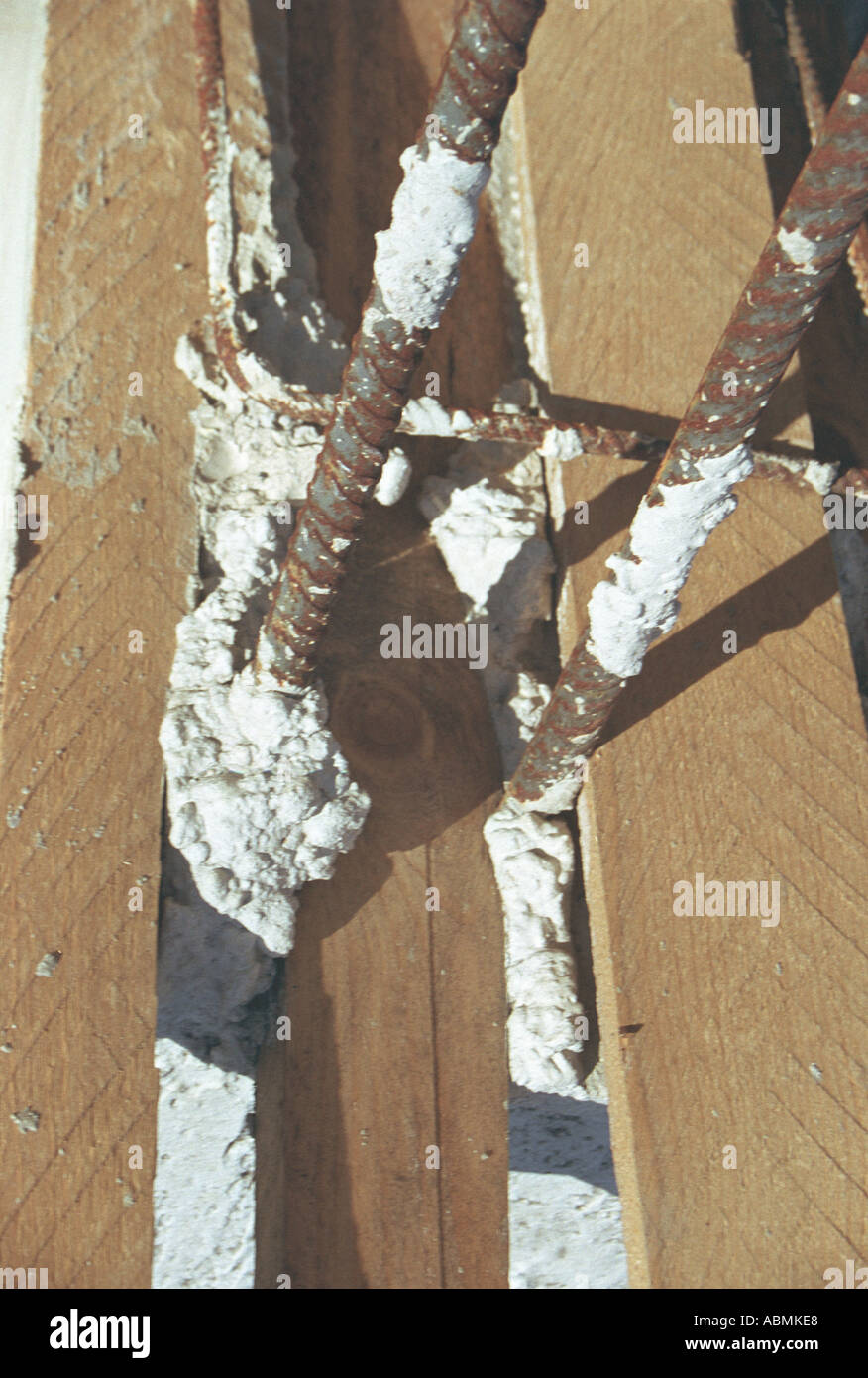 detail of steel fixing with concrete on building site Stock Photo - Alamy