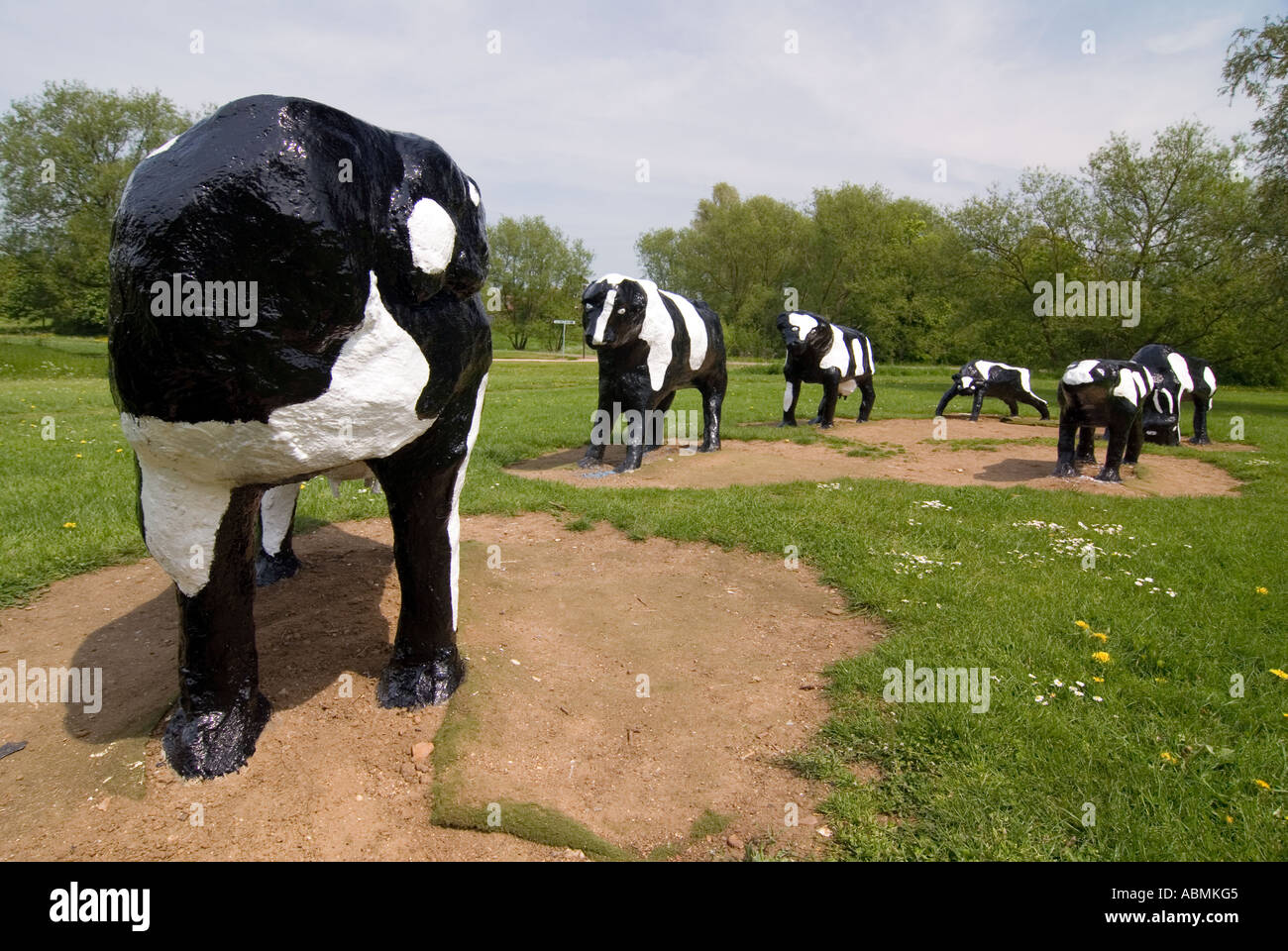 PICTURE CREDIT DOUG BLANE Concrete cows at Milton Keynes Stock Photo ...