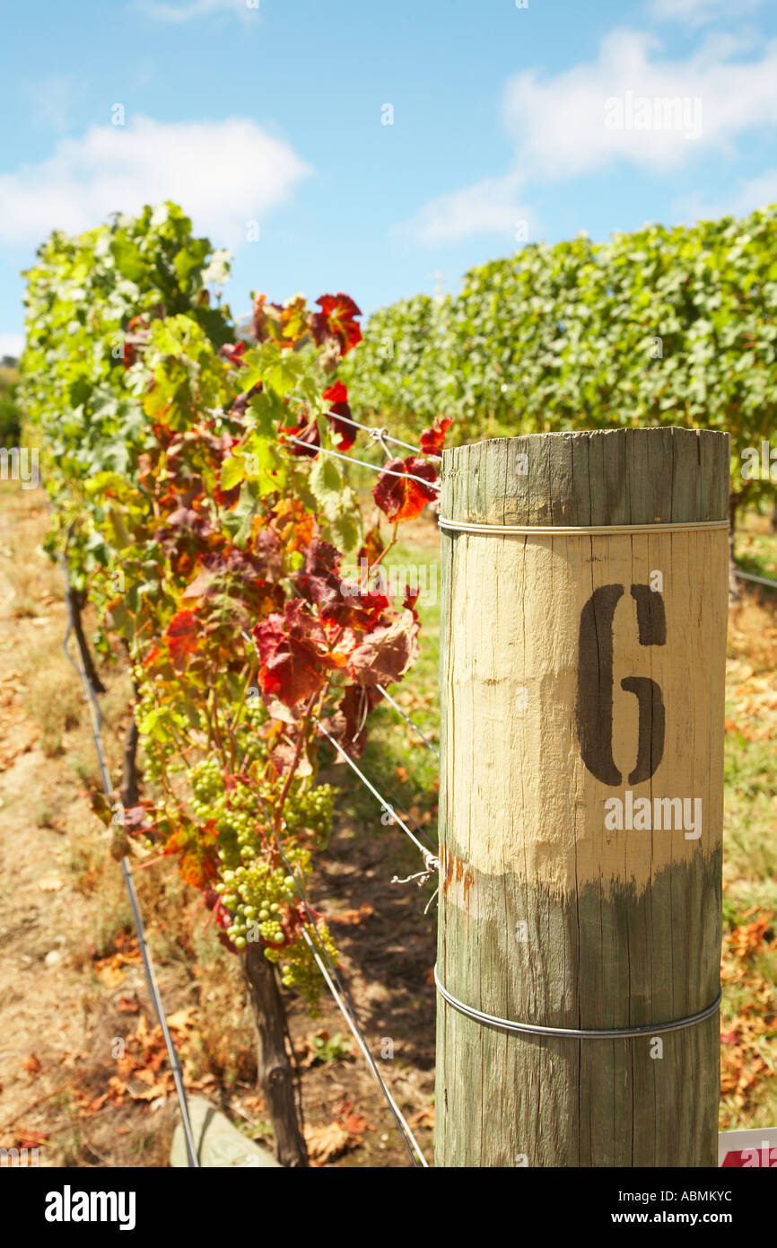 numbered post on wine vineyard Stock Photo - Alamy
