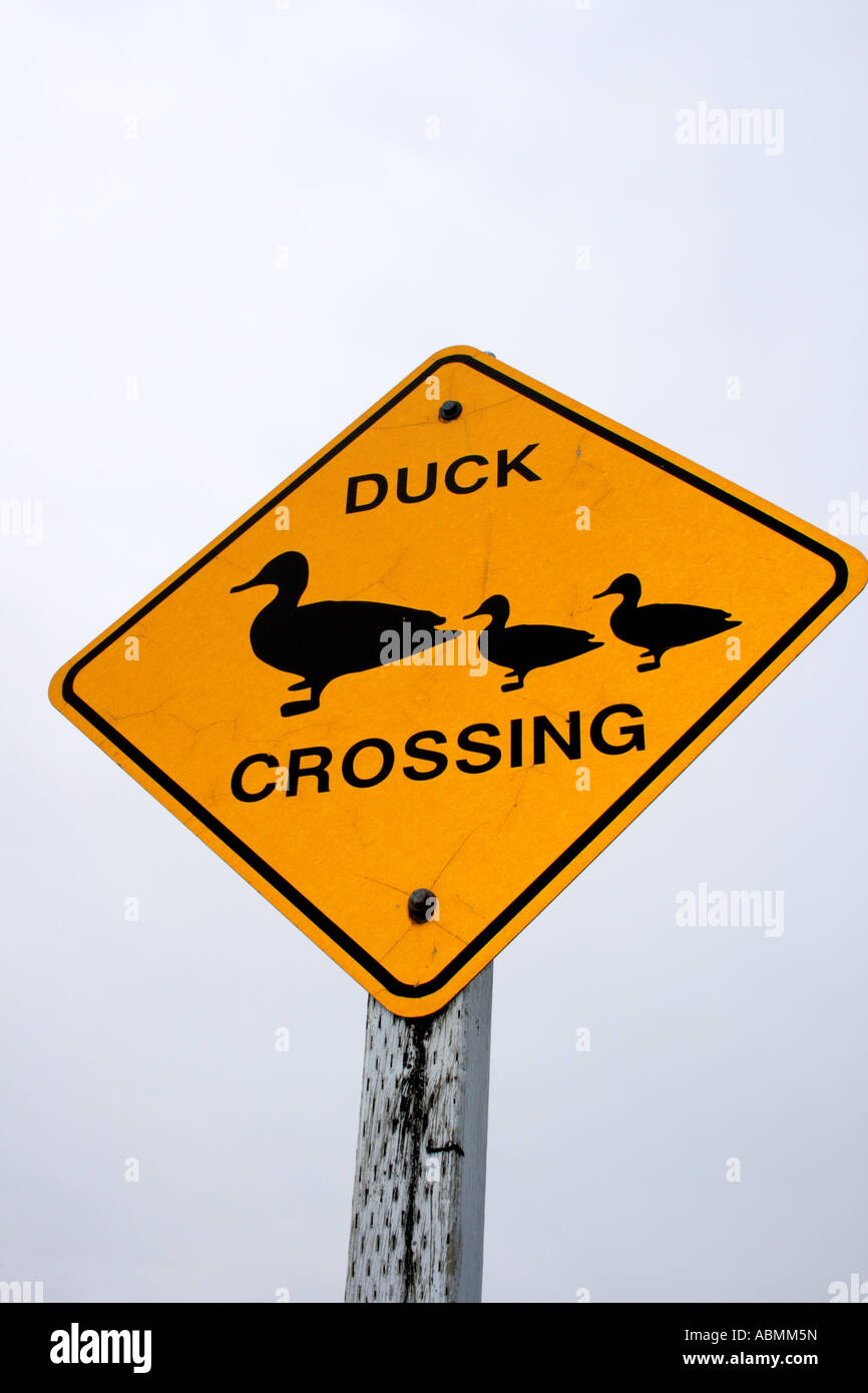 Sign warning ducks crossing road hi-res stock photography and images ...