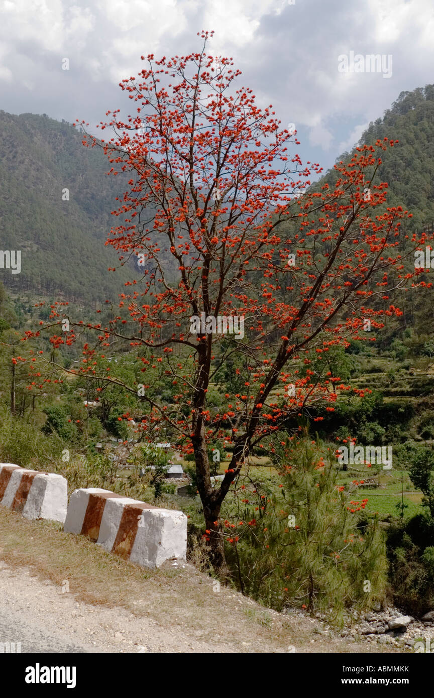 Uttaranchal state hi-res stock photography and images - Alamy