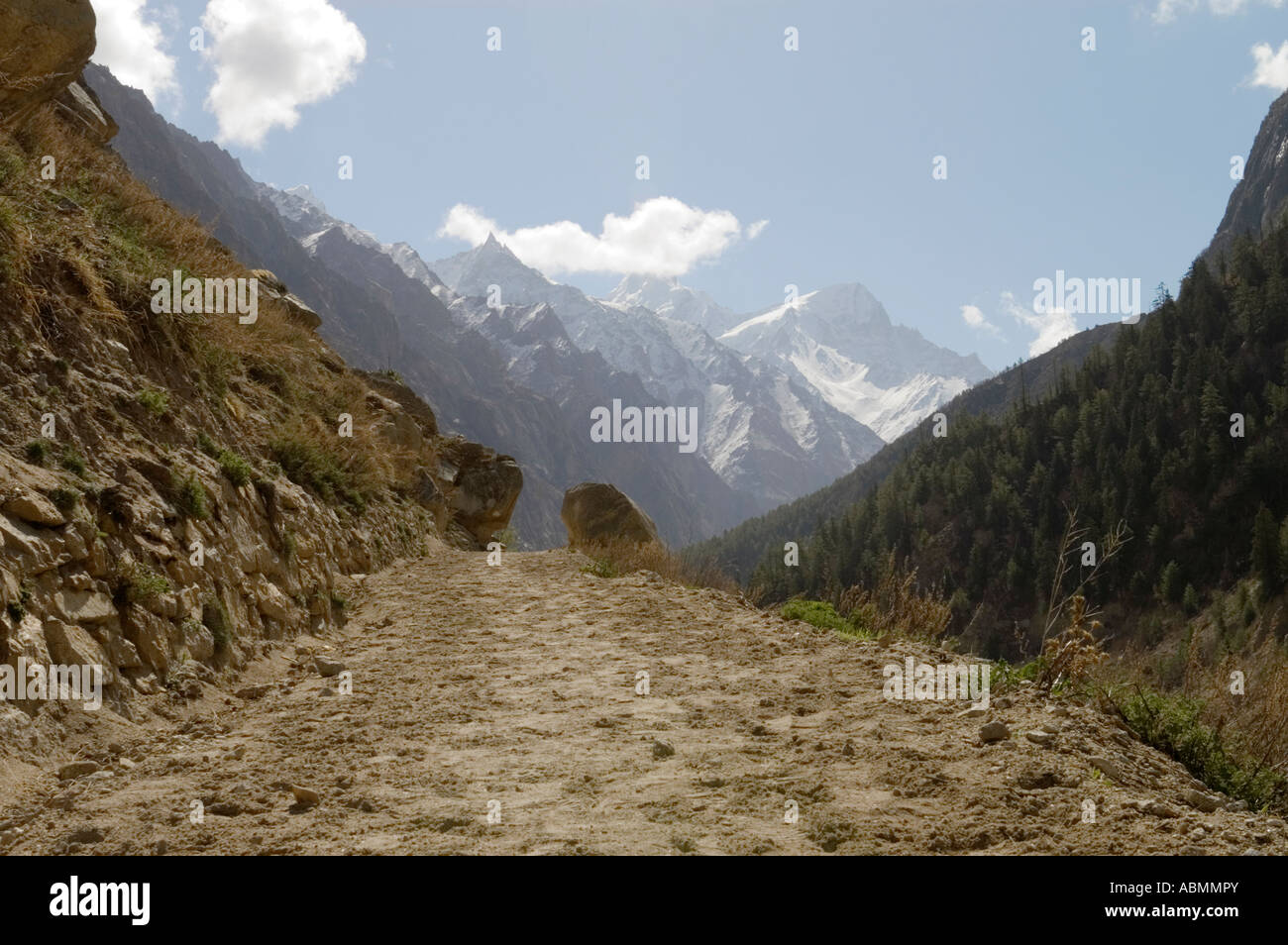 Path in the valley of Ganges in Indian Himalayas Stock Photo - Alamy