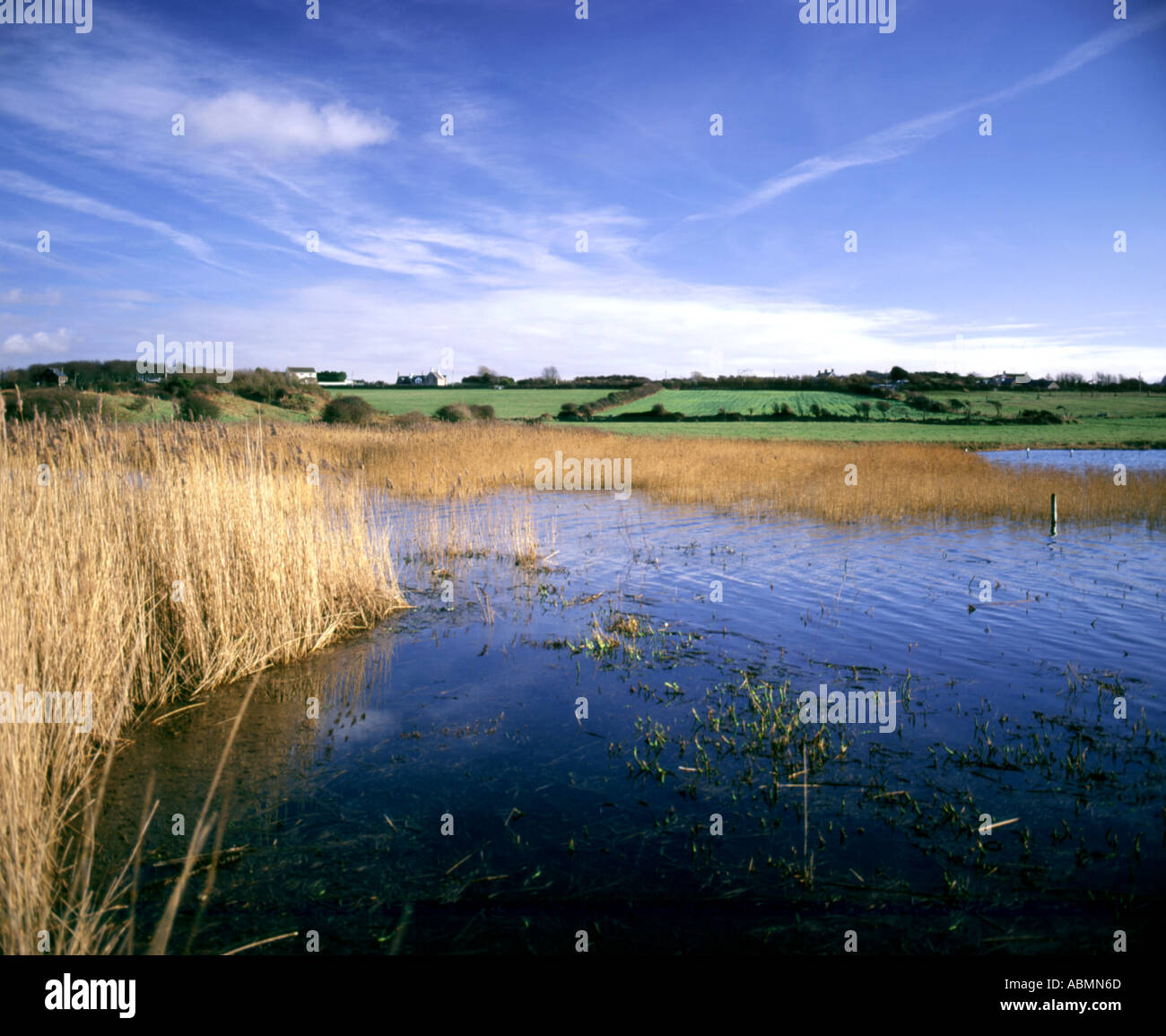 Kenfig Pool Stock Photos & Kenfig Pool Stock Images - Alamy