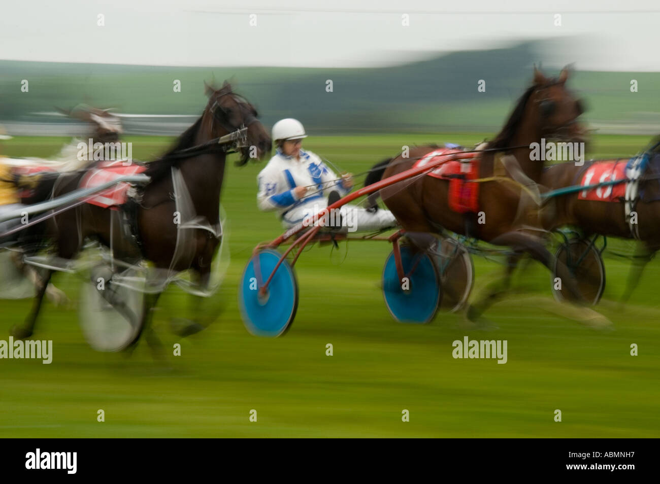 Trotting hi-res stock photography and images - Alamy