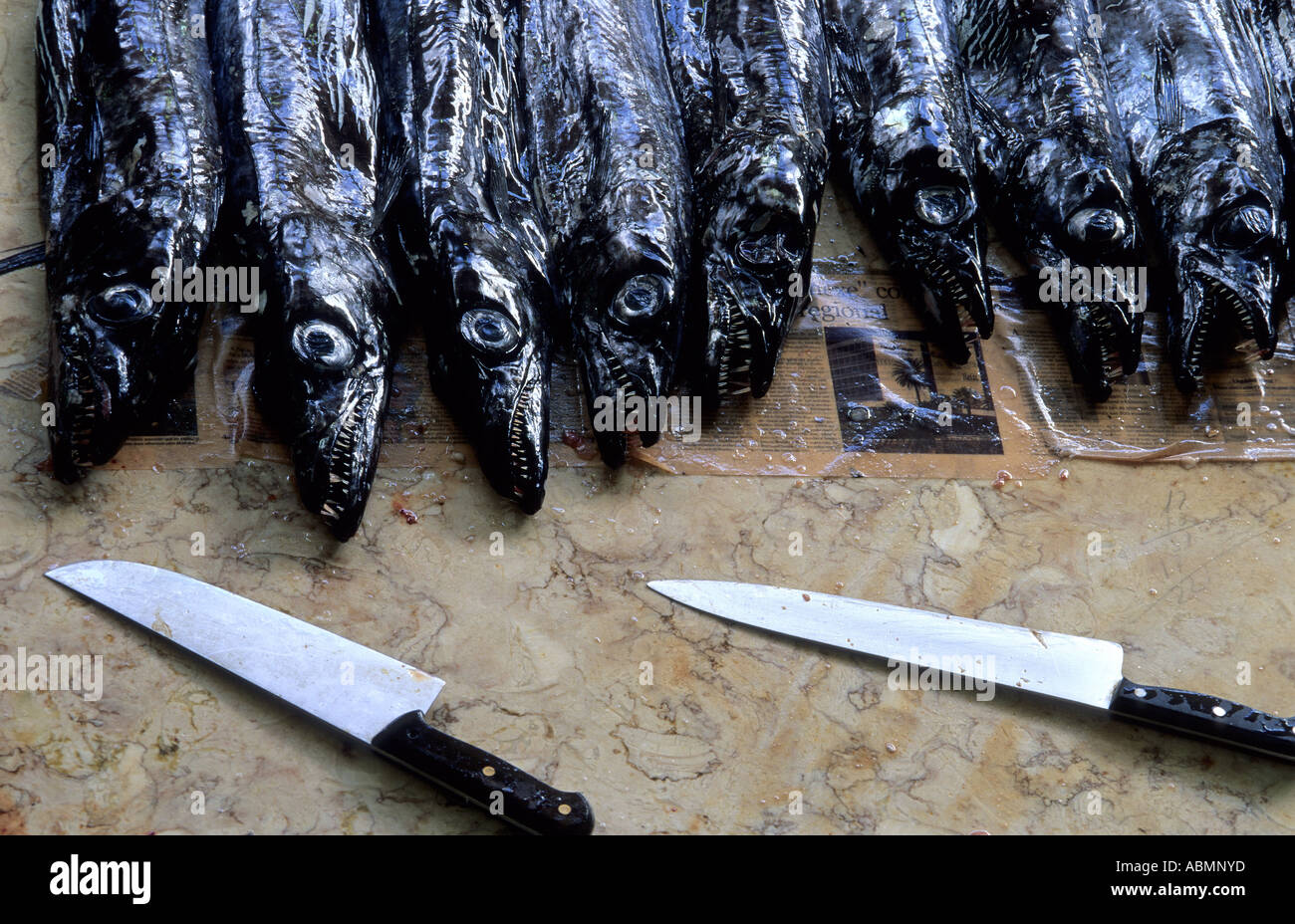 Scabbard knife hi-res stock photography and images - Alamy