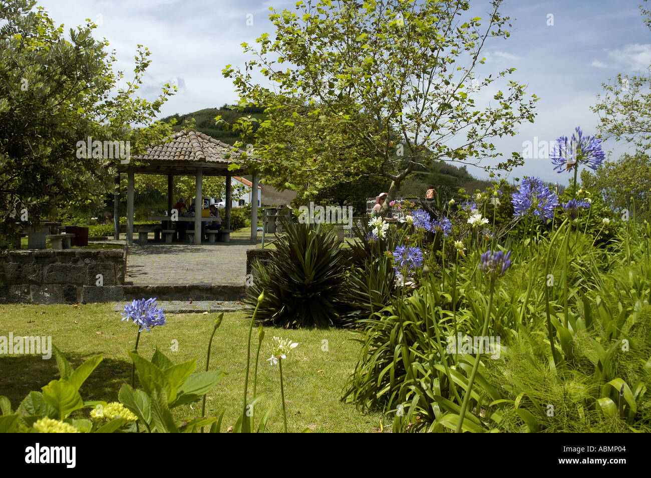 Idyllic picnic area in northeast of Sao Miguel island Azores Stock ...