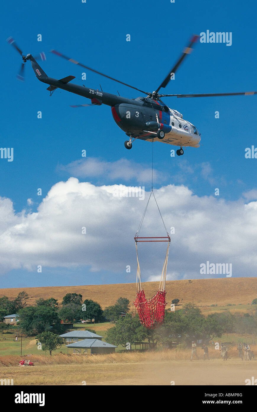 Translocating High Resolution Stock Photography and Images - Alamy