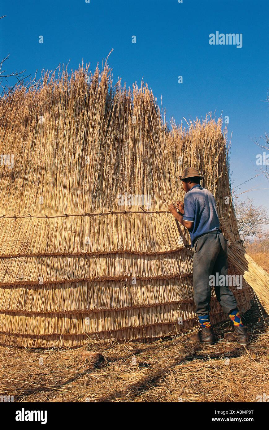 Traditional grass hut construction for KwaJobe Cultural Village Mkuzi ...