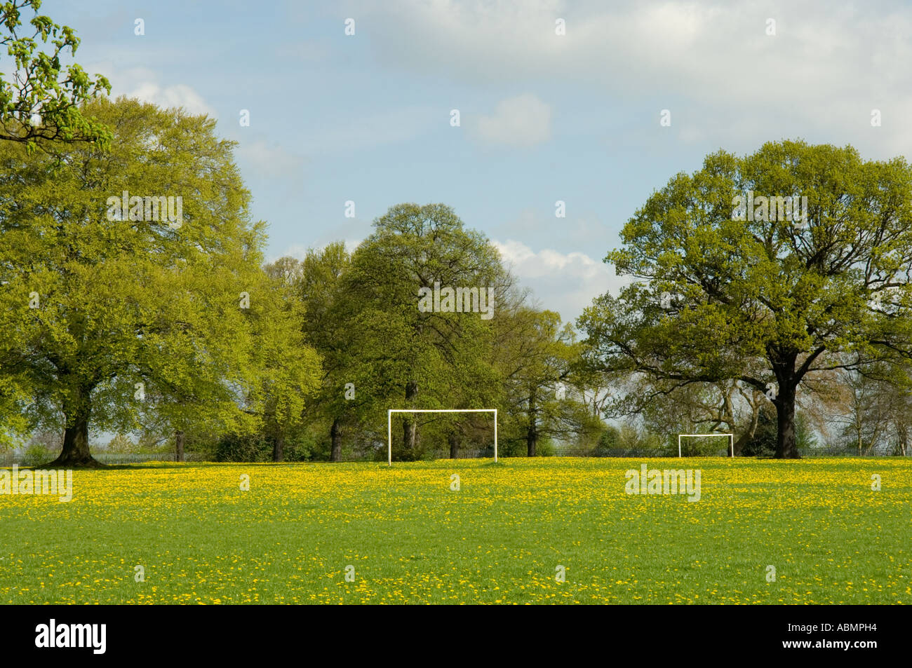 Sad dandelions hi-res stock photography and images - Alamy