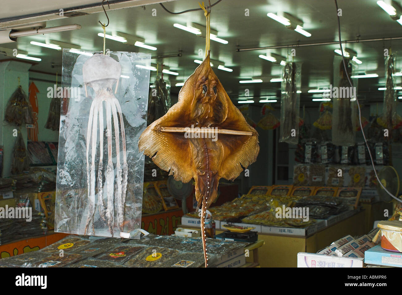 Dried stingray and squid for sale at a seafood store in Gyongpode beach ...