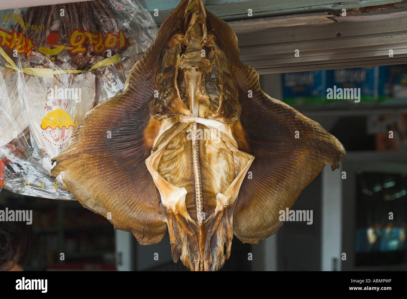 Dried stingray for sale at a seafood store in Gyongpode beach Gangwon ...