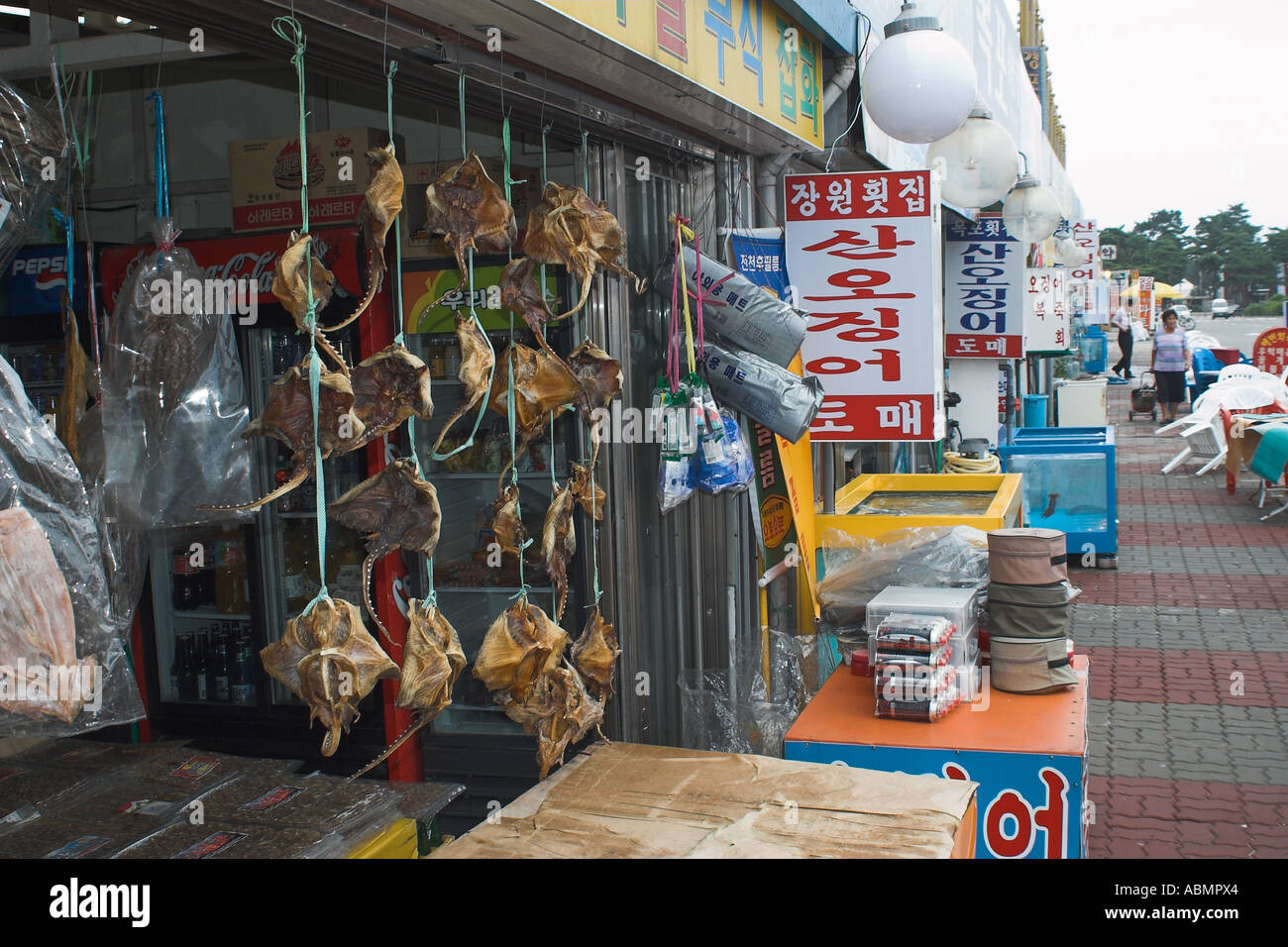 Dead stingray hi-res stock photography and images - Alamy