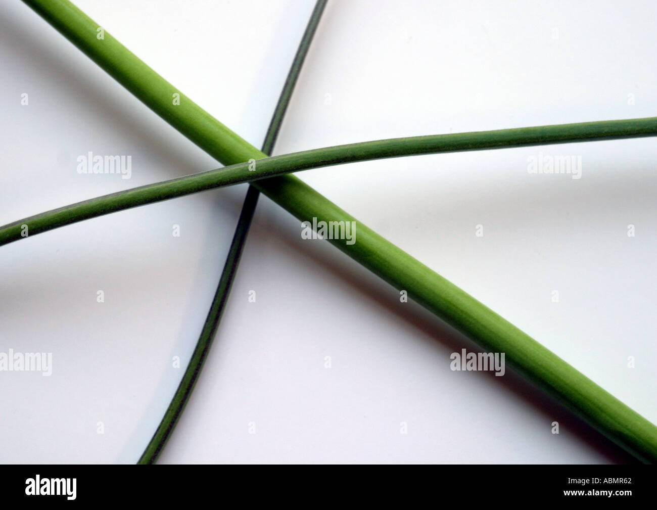 Crossed flower stems hi-res stock photography and images - Alamy