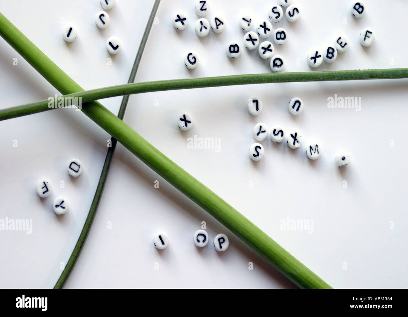 flower stems and lettering Stock Photo - Alamy
