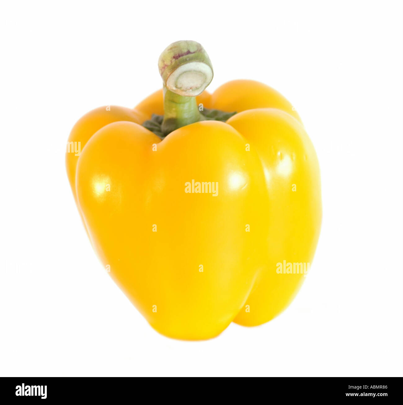 Culinary study Cut Out Stock Images & Pictures - Alamy