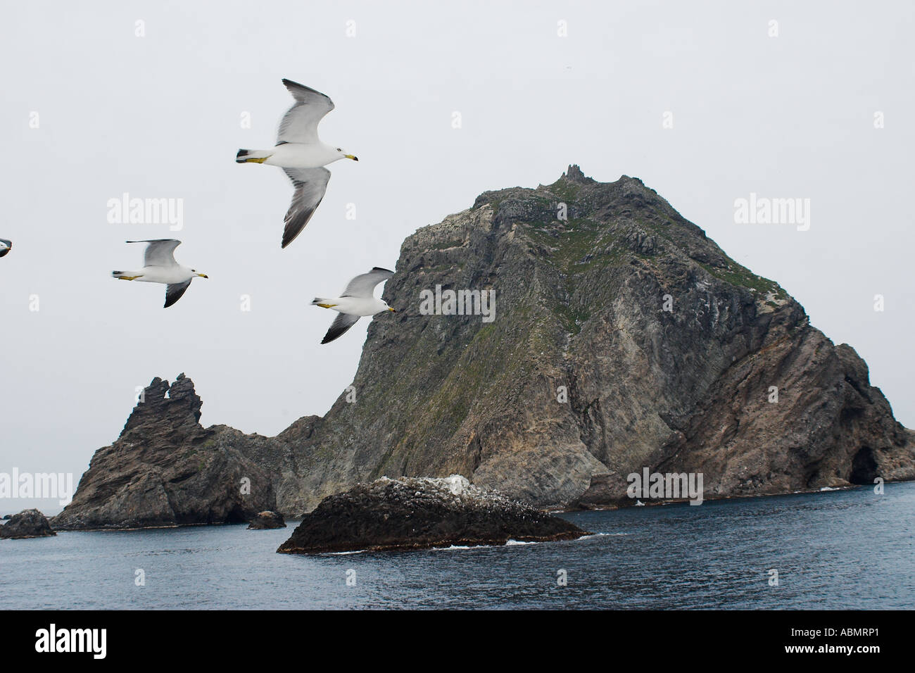 Takeshima hi-res stock photography and images - Alamy