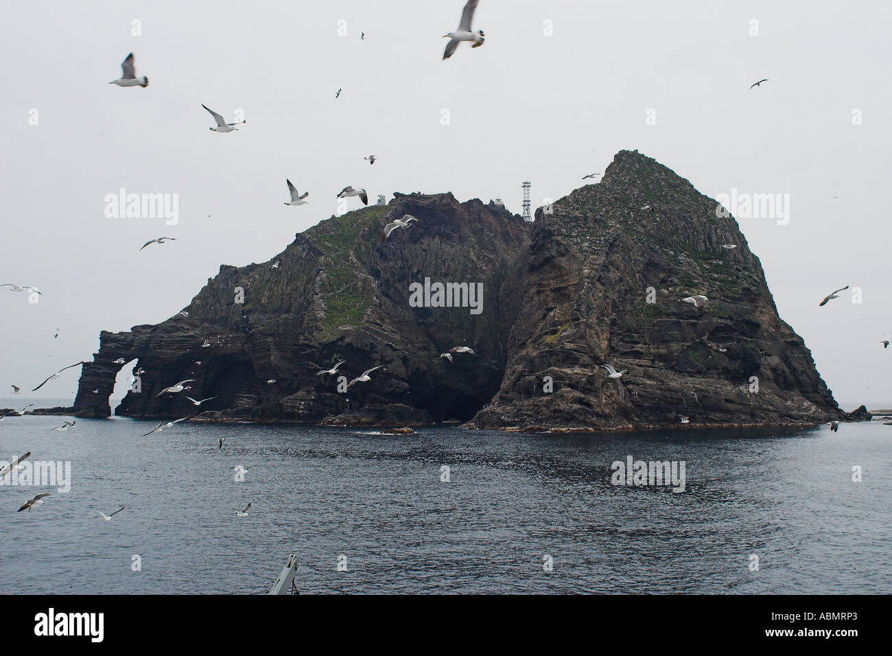 Takeshima hi-res stock photography and images - Alamy