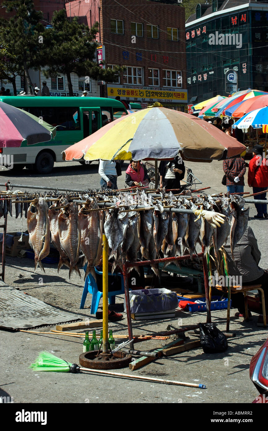 Dodong hi-res stock photography and images - Alamy